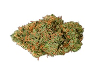 Search live menus. Order cannabis online. - Jane