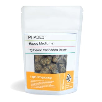 Electric Colada | PHASES | Cannabis Strain - Purple Lotus