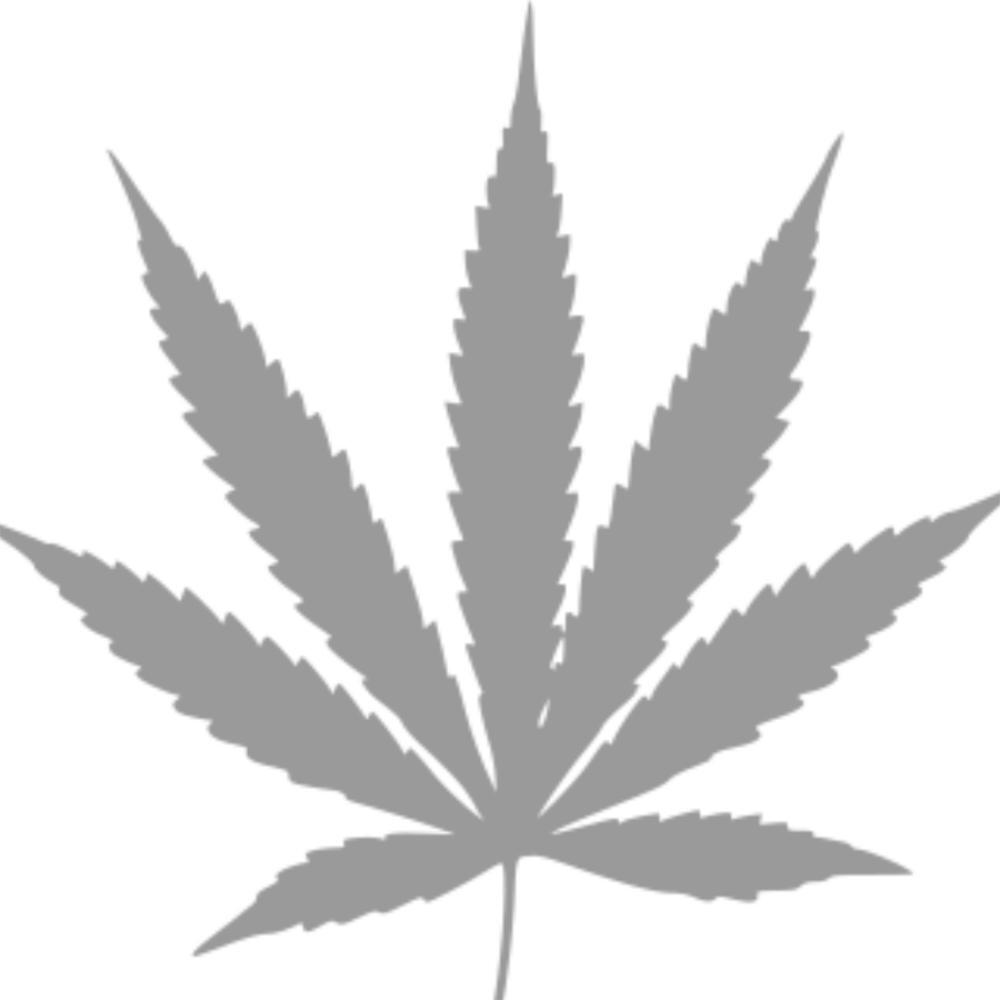 Natty Rems - Maggie's Farm Marijuana Dispensaries