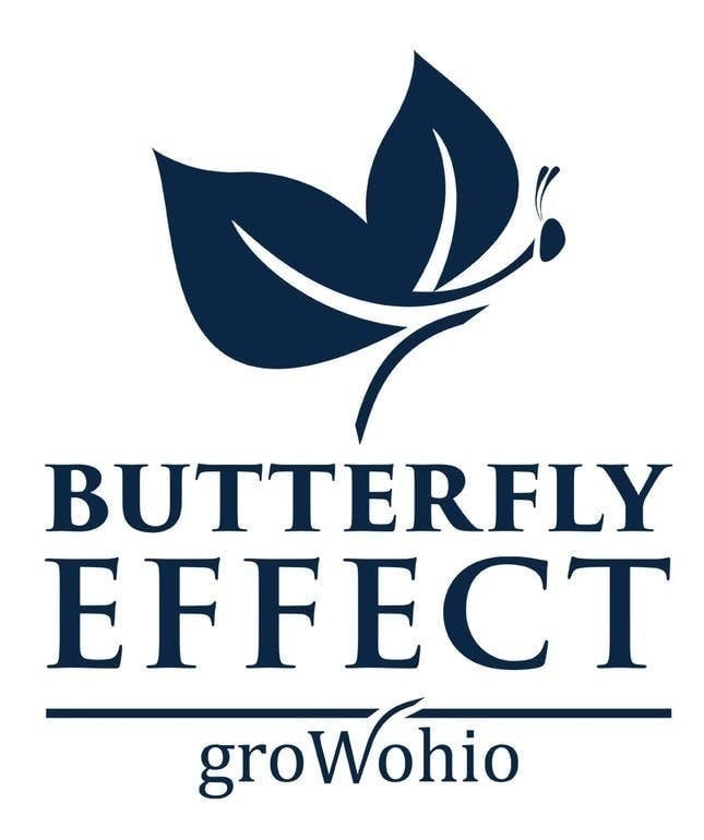 Honey [4oz] (550mg) | Butterfly Effect | Butterfly Effect Premium ...
