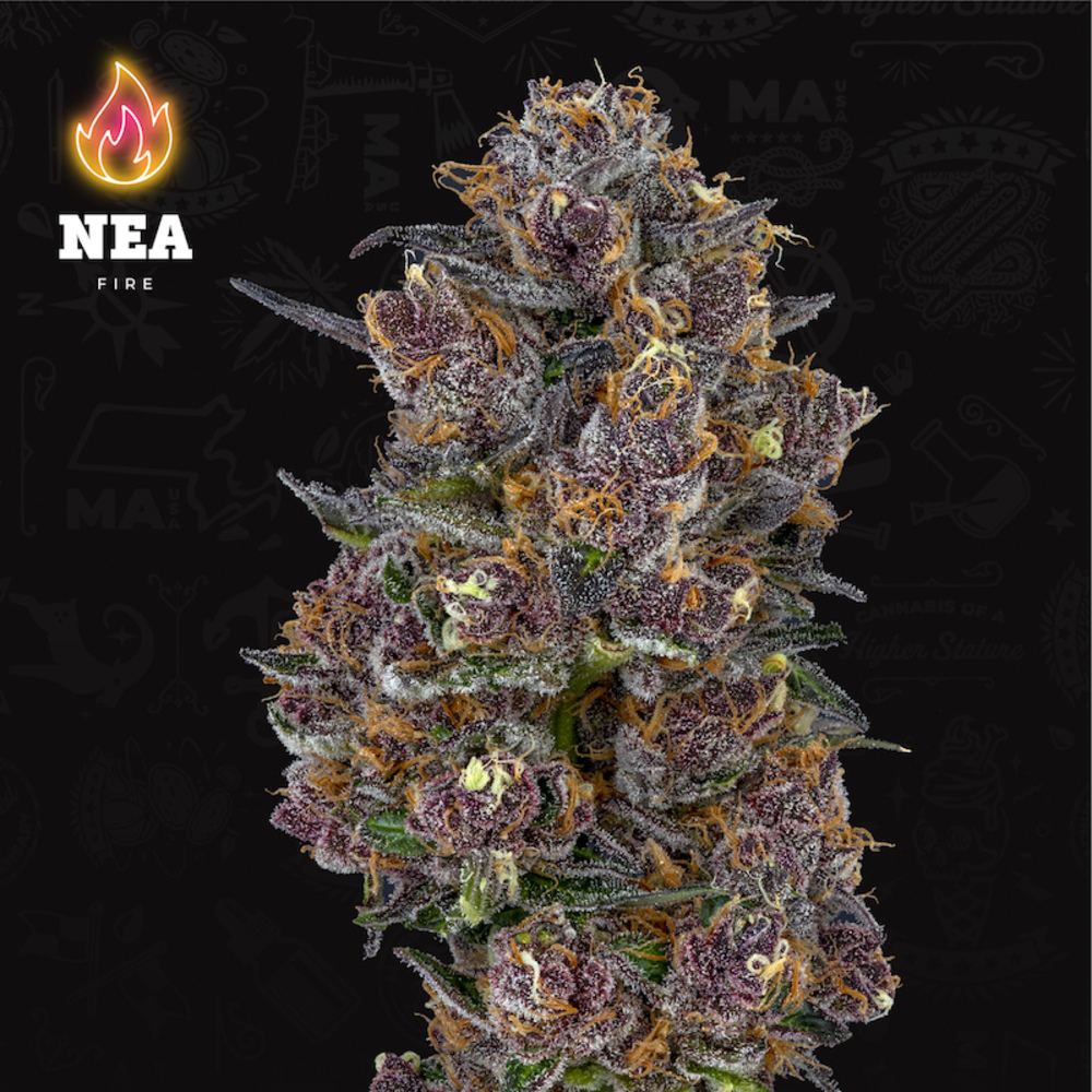 Shop NEA Fire - Tropsanto #5 Flower | Fine Fettle - Smyrna Dispensary ...