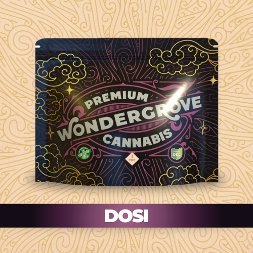 Dosi - 2.83g Whole Buds - Hybrid | Wondergrove | Bloom