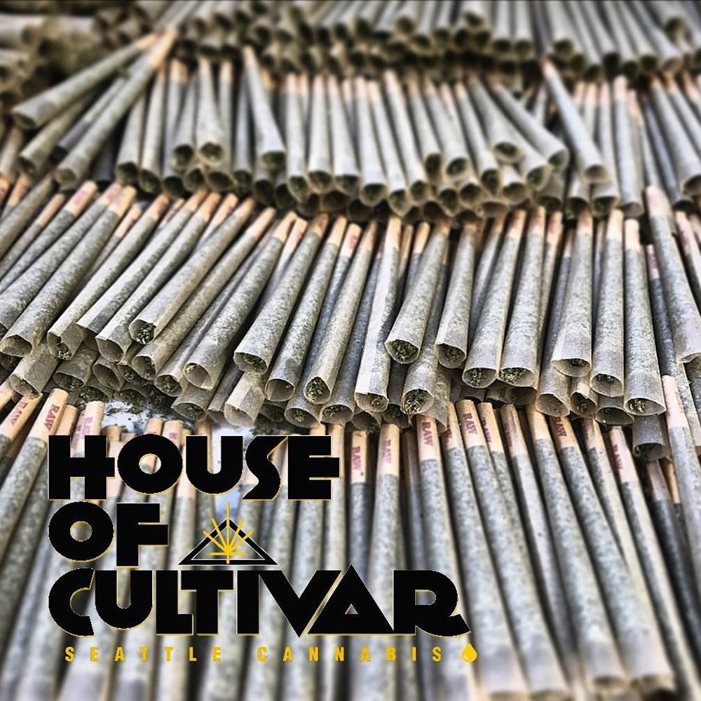 Dread Bread [.5g] | House of Cultivar | 2 Pack Spectrum CBD Roll - Jane