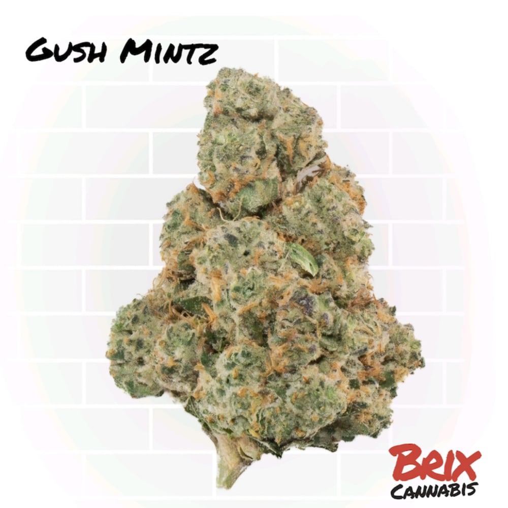 Shop BRIX Cannabis - Gush Mintz (H) T23.9% Flower C0101000034 | Fine ...