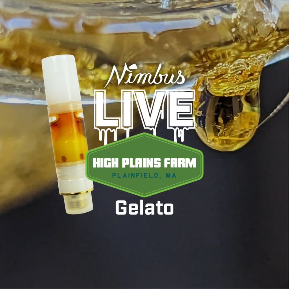 Nimbus Featured Farm LIVE - Gelato - Tree House Craft Cannabis Dispensary