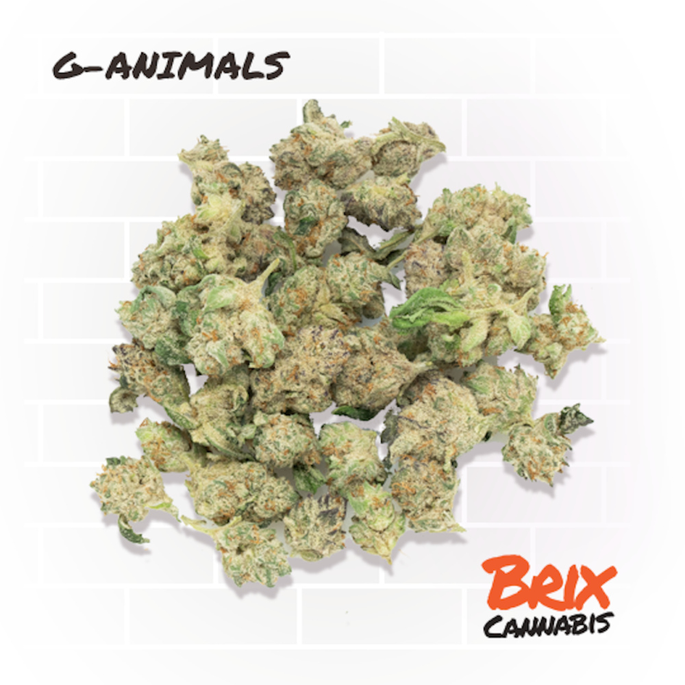 Shop BRIX Cannabis - G-Animals (I) T21.84% Second Cut Flower ...