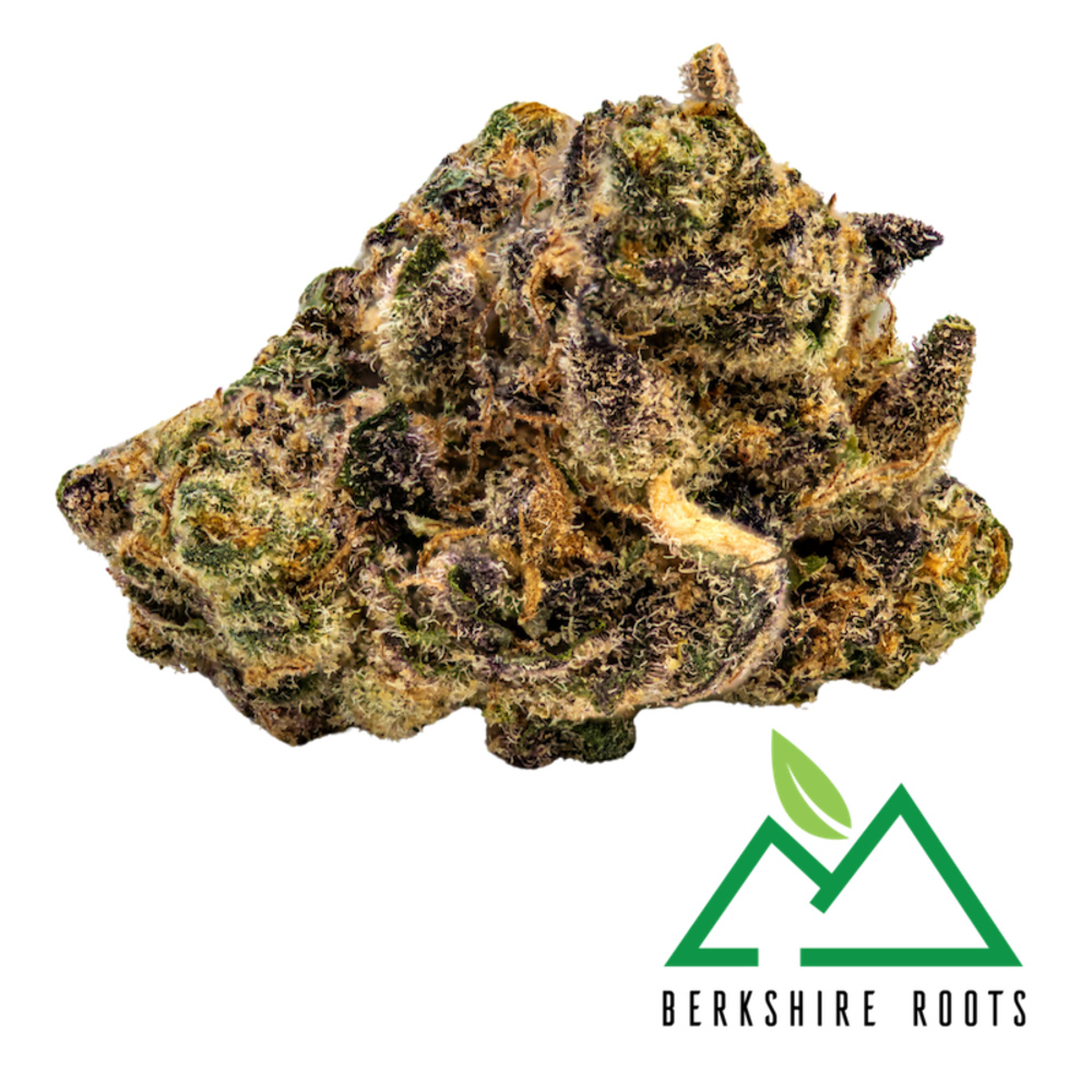 Shop Berkshire Roots - Tropicanna Banana Flower | Fine Fettle - Smyrna ...