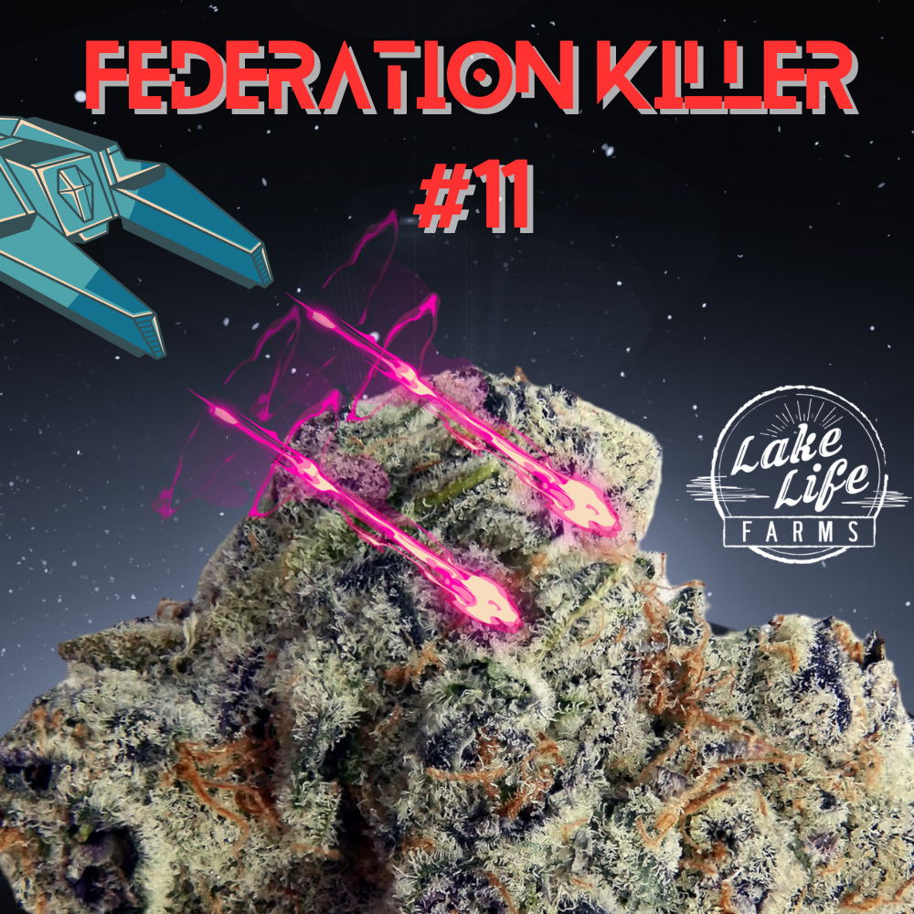Marijuana Ice Kream Hash Co. Federation Killer 11 for Sale | Lake Life Farms Dispensary Michigan
