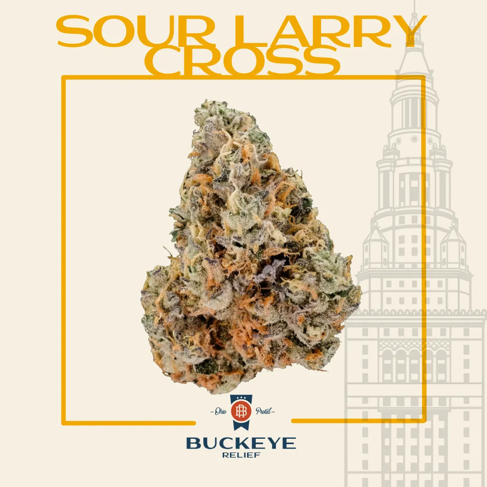 Sour Larry Cross - 2.83g Whole Buds - Hybrid | Buckeye | Bloom