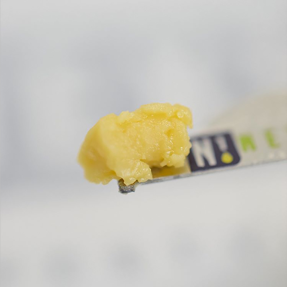 Live Budder | Next1 Labs | Live Budder - Jane