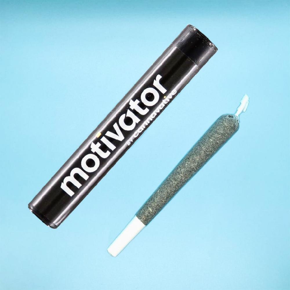 Cannavative Gigabud [1g] for sale - The Source+ Dispensary