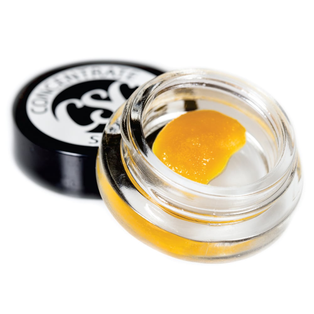 Tangerine Haze | Concentrate Supply Co. (CSC) | Live Resin - Jane