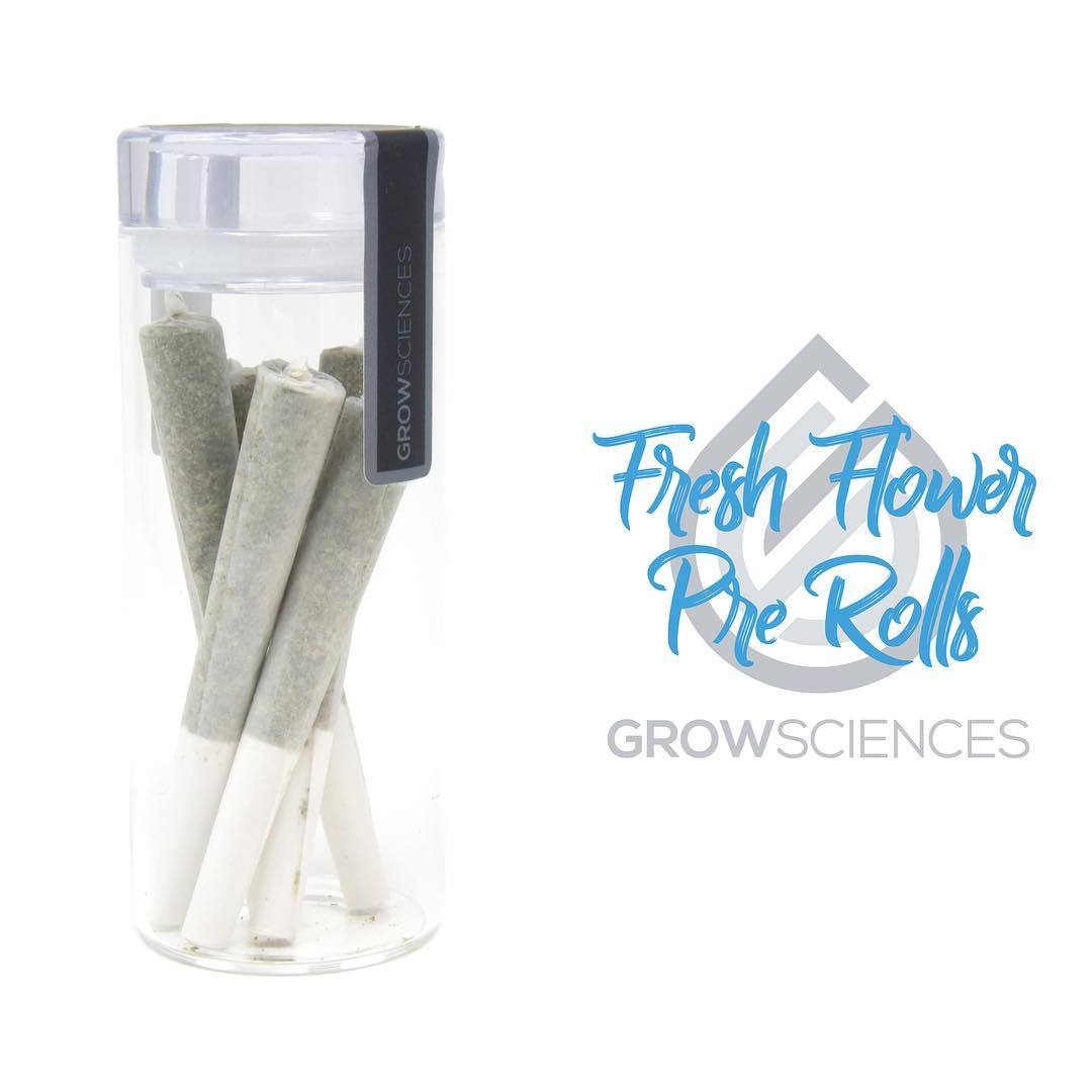 92 OG [.7g] | Grow Sciences | 5 Pack Pre Roll - Jane