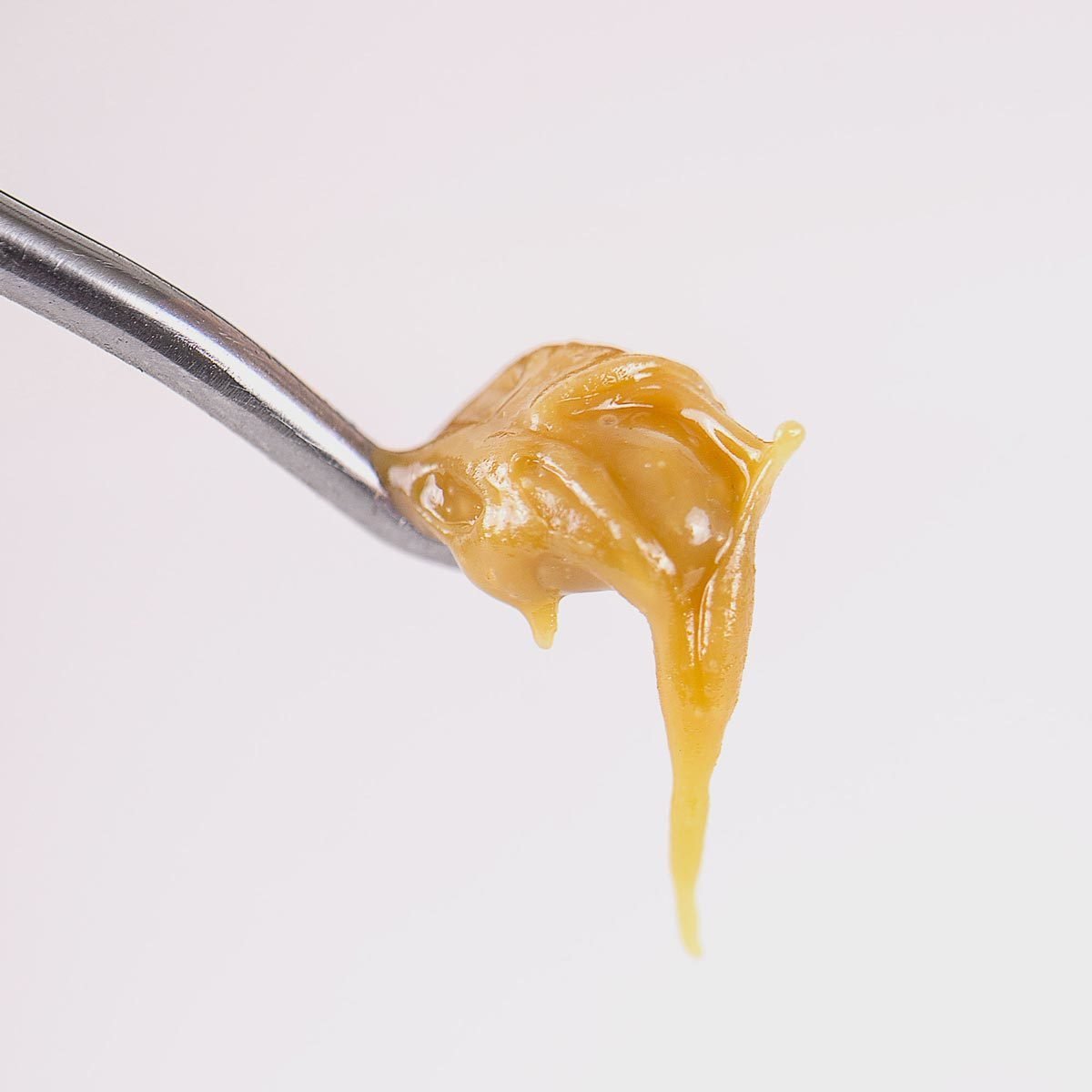 Salty Watermelon | Calypso | Live Sugar - Jane