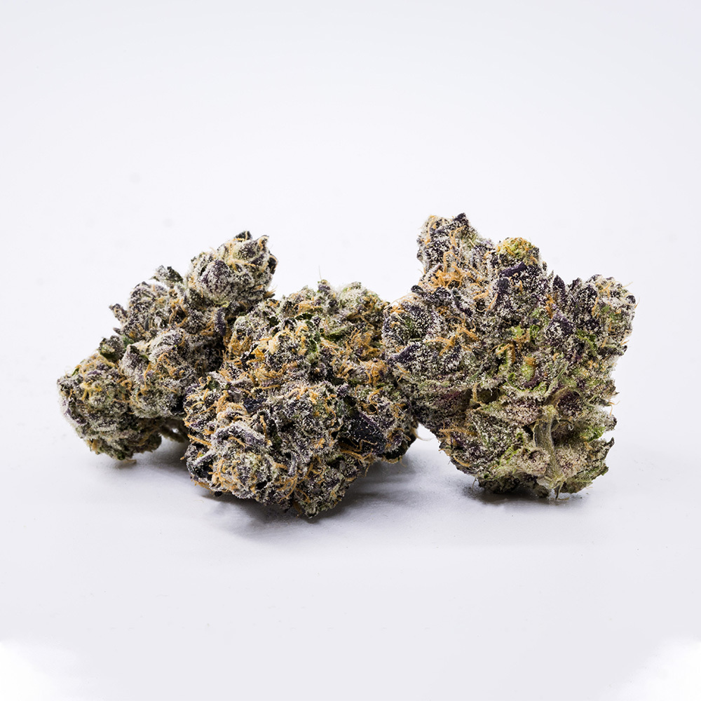 Summa Cannabis Sunset Shebert for sale - The Source+ Dispensary