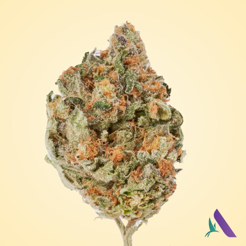 Soap Flower T24.79% S 21226 - | Affinity Grow - Jane