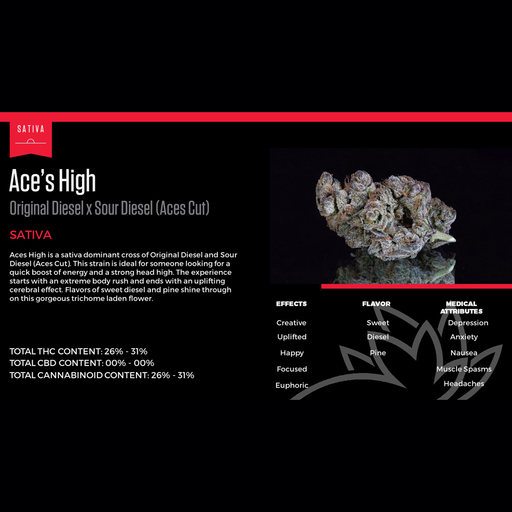Ace's High | Grassroots - Jane