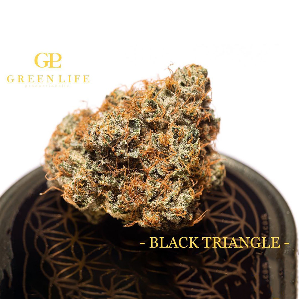 Black Triangle | Green Life Productions - Jane