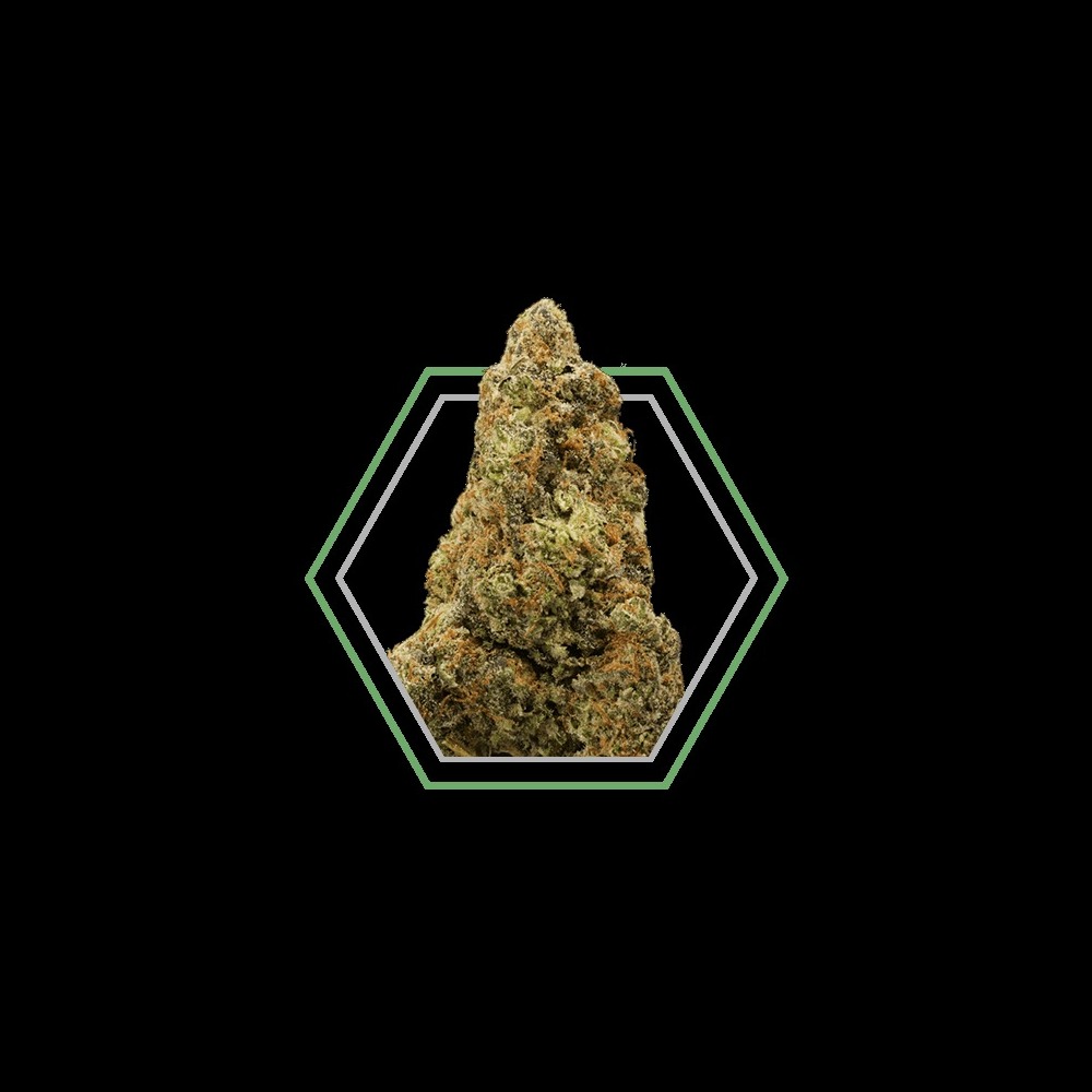 Alien Rock Candy | Cultivation Labs - Jane