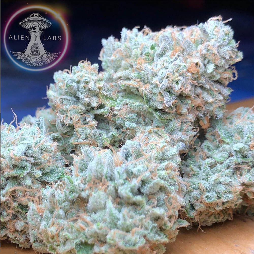 Moonbow | Alien Labs - Jane