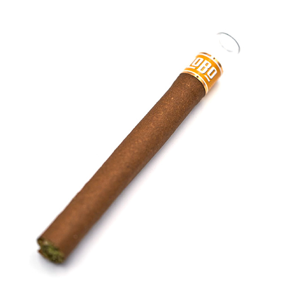 Gelato Cannagar Bold Lobo Bold Infused Blunt Jane